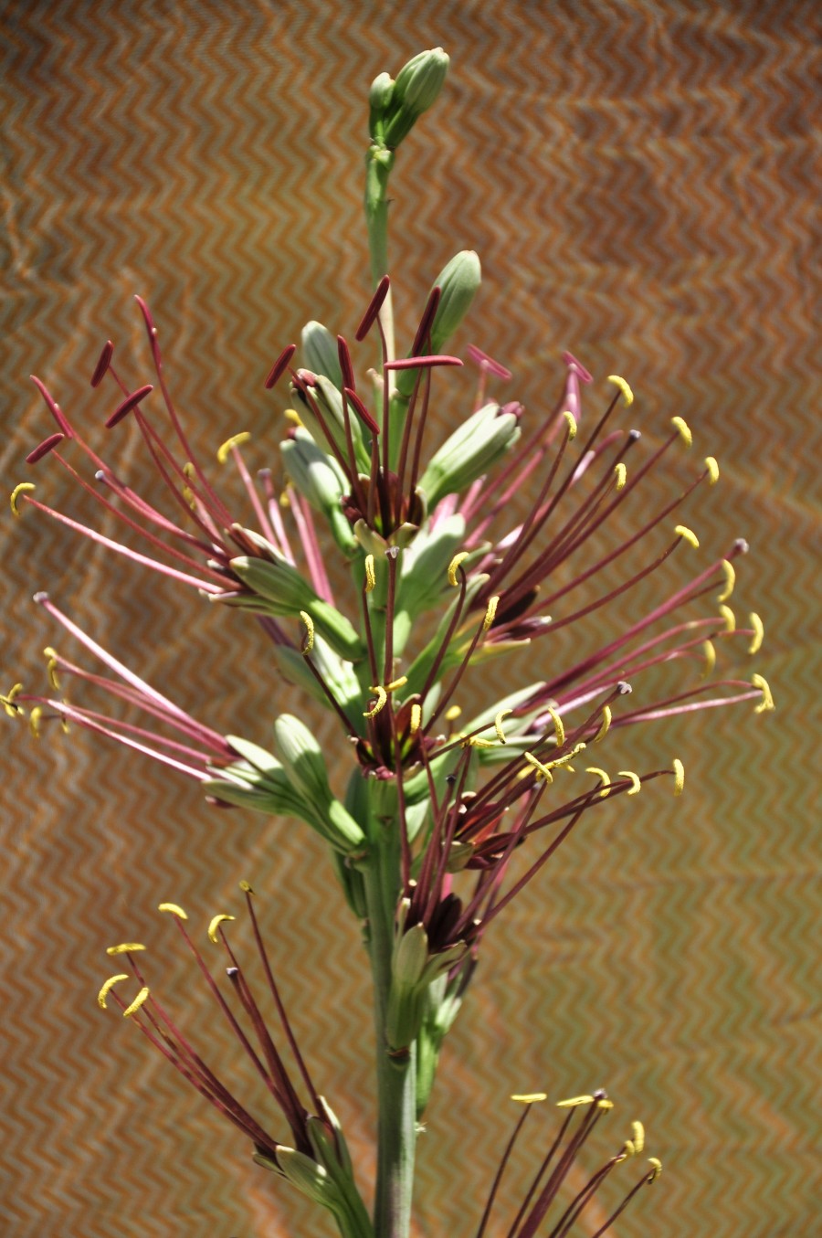 A Garden needs time | A Traveling Gardener