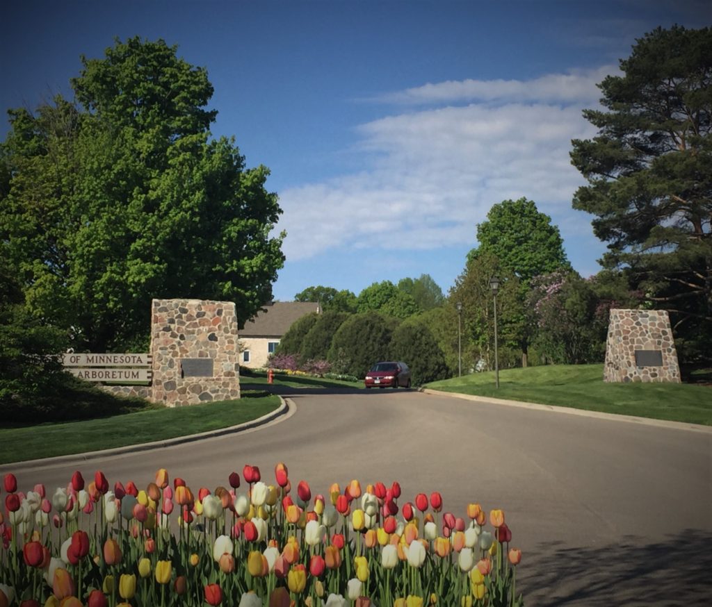 Minnesota Landscape Arboretum | A Traveling Gardener